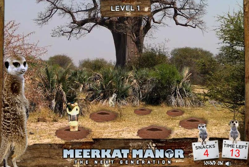 Meerkat Grab-A-Snack | Meerkats Wiki | Fandom
