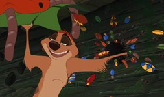Timon Berkowitz | Meerkats Wiki | Fandom