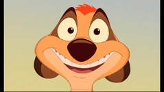 Timon Berkowitz | Meerkats Wiki | Fandom