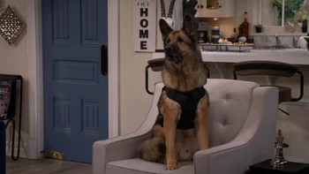 Robert Gossman | The Villains Of Valley View Wiki | Fandom