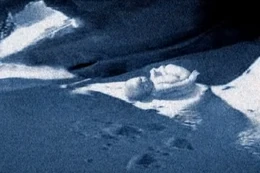 Birth | Meet The Residents Wiki | Fandom