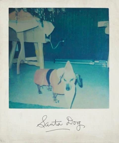 Santa Dog | Meet The Residents Wiki | Fandom