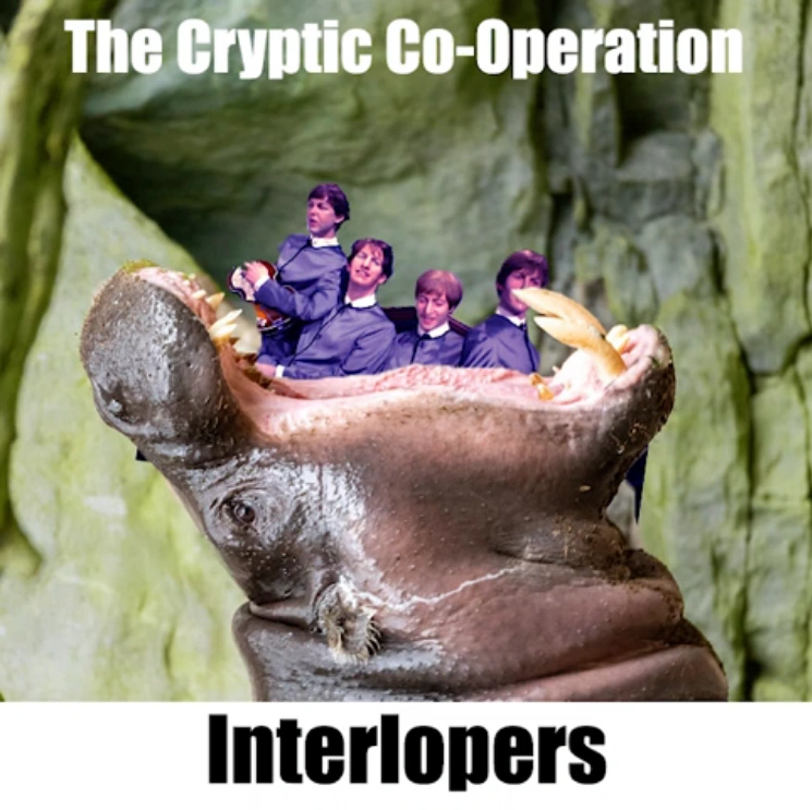 Interlopers | Meet The Residents Wiki | Fandom