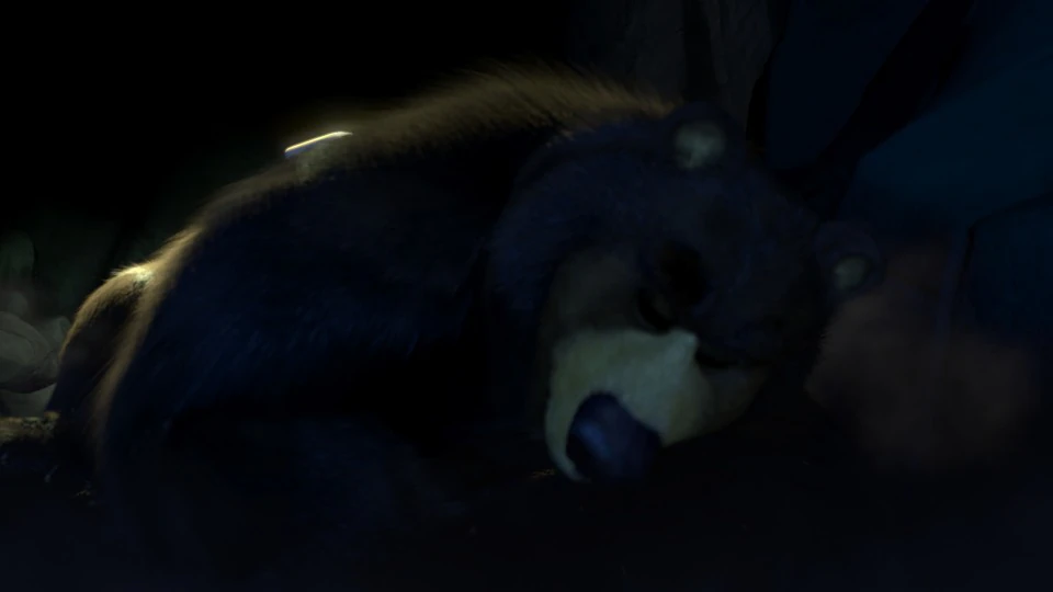 Bear | Meet us Wiki | Fandom