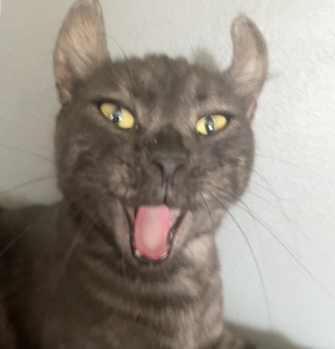 Meevin02 | Meevin Fan Wiki | Fandom