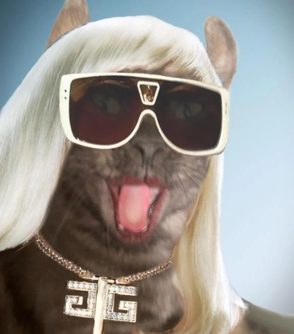 The Meev Escape | Meevin Fan Wiki | Fandom