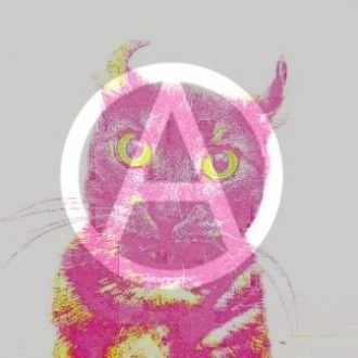 Chaos Meevin | Meevin Fan Wiki | Fandom