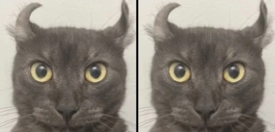 Double Meevin | Meevin Fan Wiki | Fandom