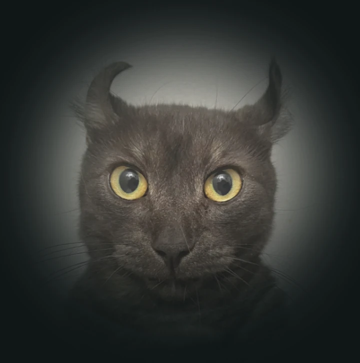 Good Meevin | Meevin Fan Wiki | Fandom