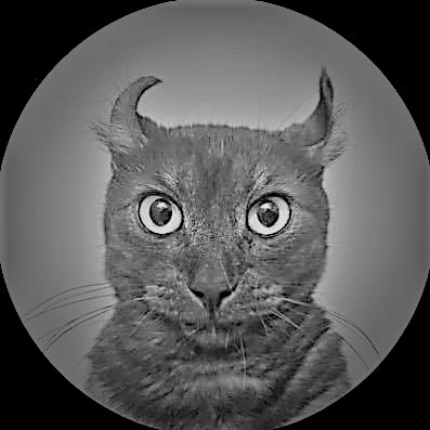 Neutral Meevin | Meevin Fan Wiki | Fandom