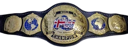 1PW Heavyweight Championship | Mega JAT Wrestling Wiki | Fandom