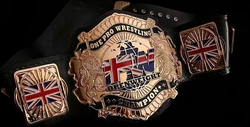 1PW Openweight Championship | Mega JAT Wrestling Wiki | Fandom