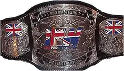 1PW Tag Team Championship | Mega JAT Wrestling Wiki | Fandom