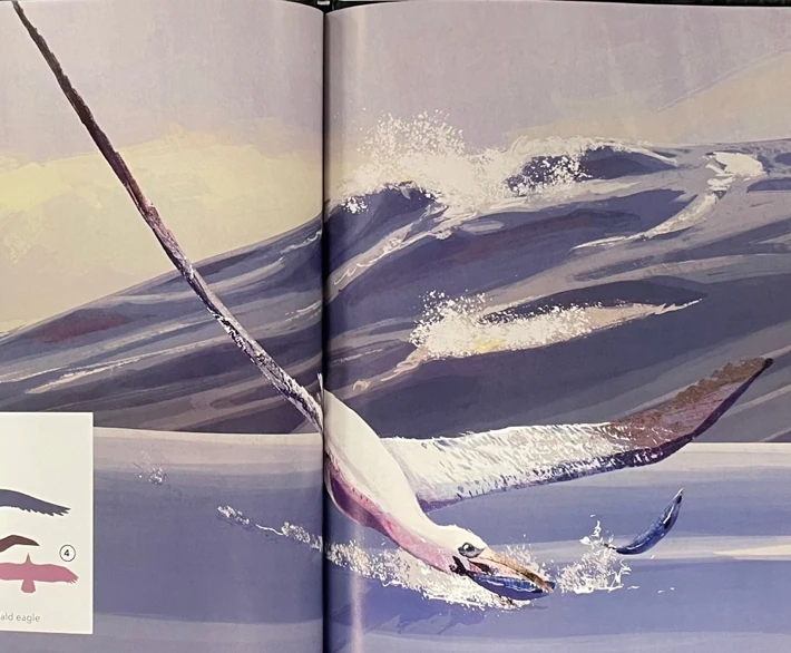 Pelagornis Sandersi | Mega Predators Wiki | Fandom