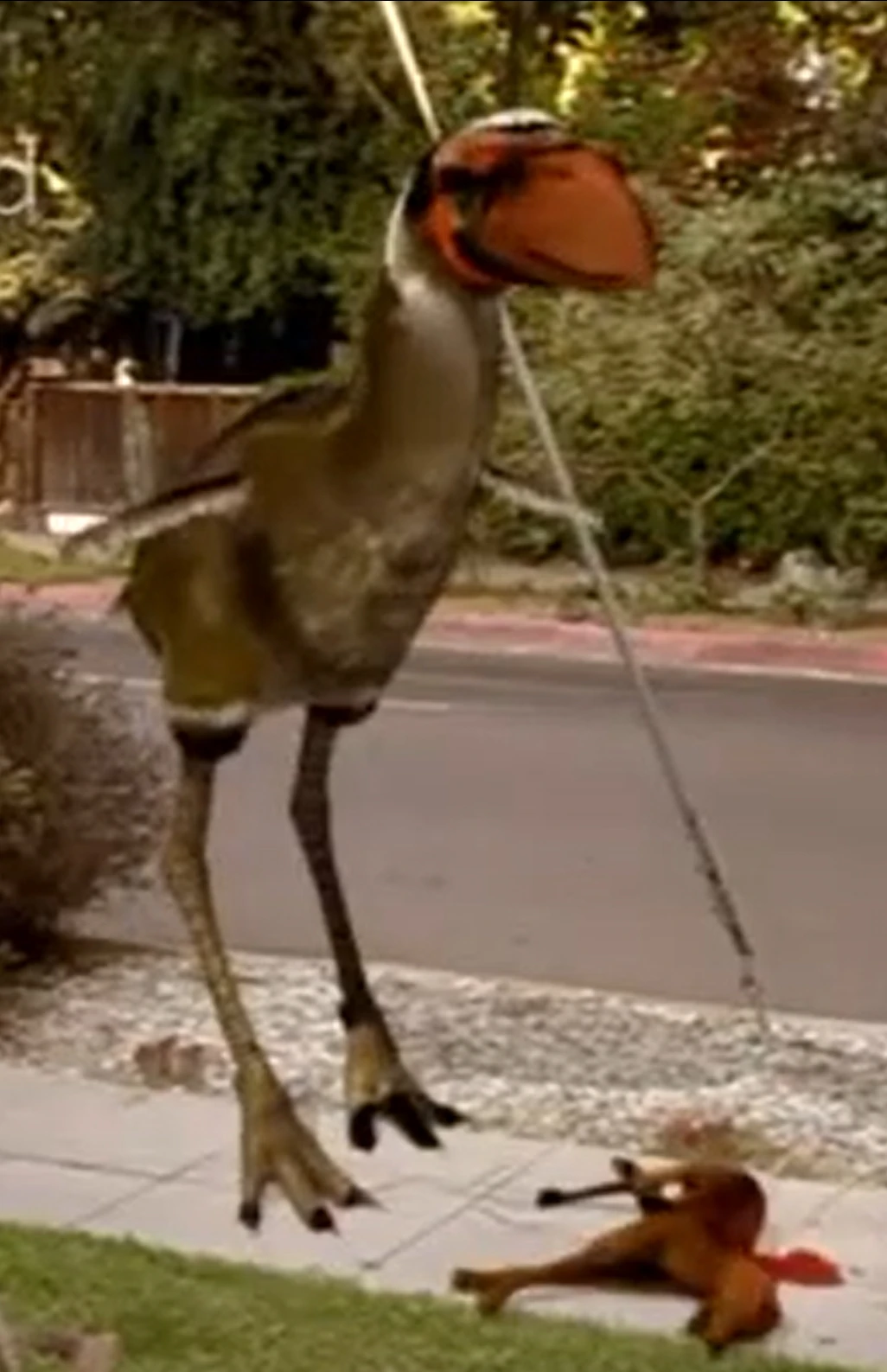 Titanis | Mega Predators Wiki | Fandom