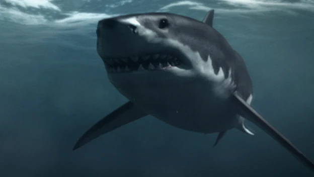 Mega Shark | Mega Shark Wiki | Fandom