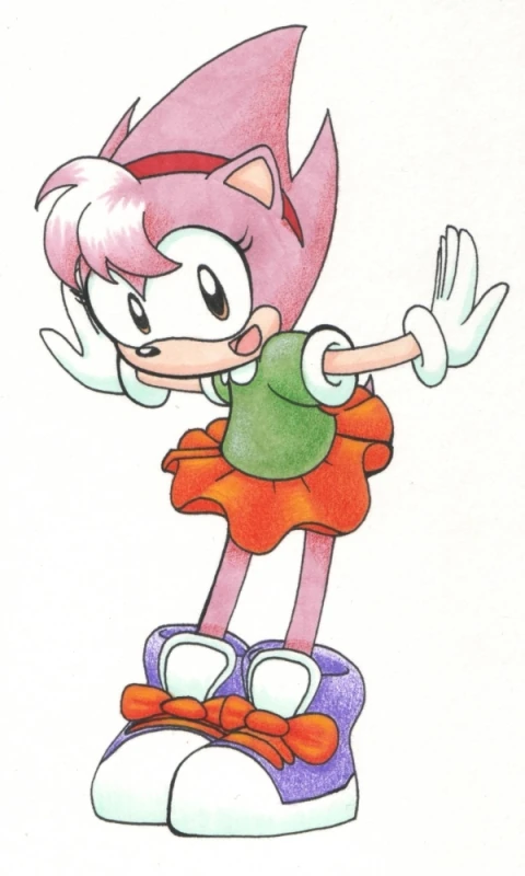 Amy Rose | The Mega Sonic Bros. OVA Wiki | Fandom