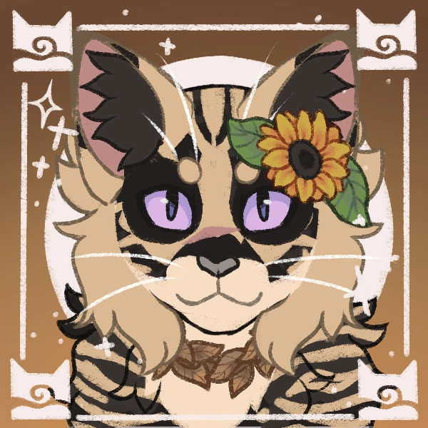 BeeStar | MegaHaps Warrior cat world Wiki | Fandom