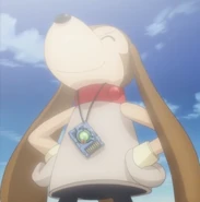 Rush (MegaMan NT Warrior) | MMKB | Fandom