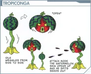 Tropiconga | MMKB | Fandom