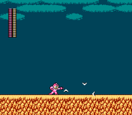 Quick Boomerang | MMKB | Fandom