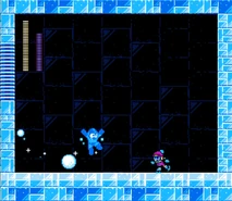 Polar Woman | Mega Man Fanon Wiki | Fandom