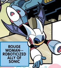 Rouge the Bat | Mega Man Wiki | Fandom