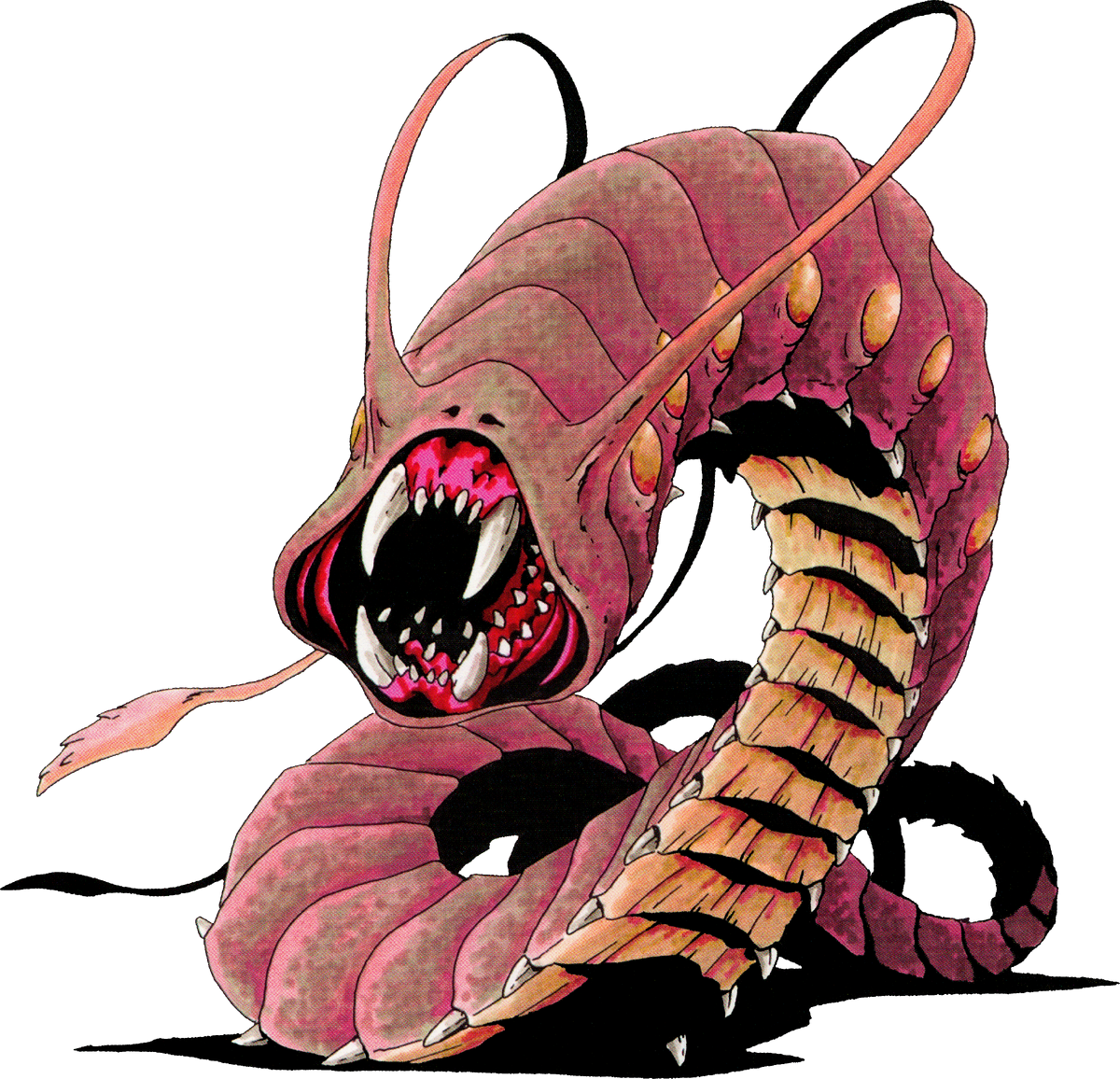 Worm | Megami Tensei Wiki | Fandom