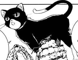 Morgana | Megami Tensei Wiki | Fandom