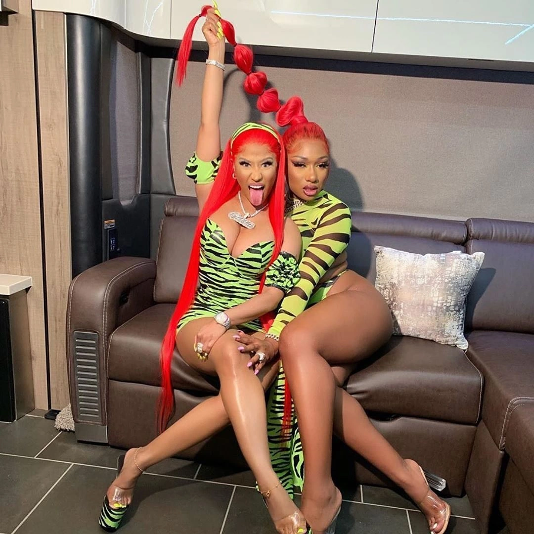 Nicki Minaj | Megan Thee Stallion Hotties Wiki | Fandom