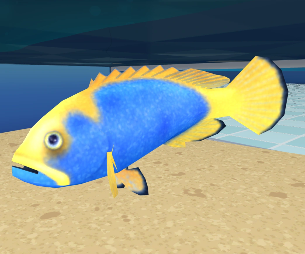 Blue and Yellow Grouper | Megaquarium Modded Content Wiki | Fandom