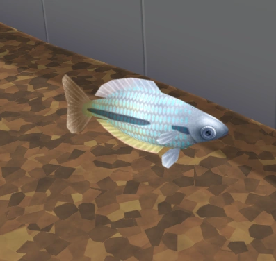 Lake Eacham Rainbowfish | Megaquarium Modded Content Wiki | Fandom