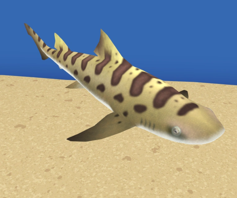 Leopard Shark | Megaquarium Modded Content Wiki | Fandom