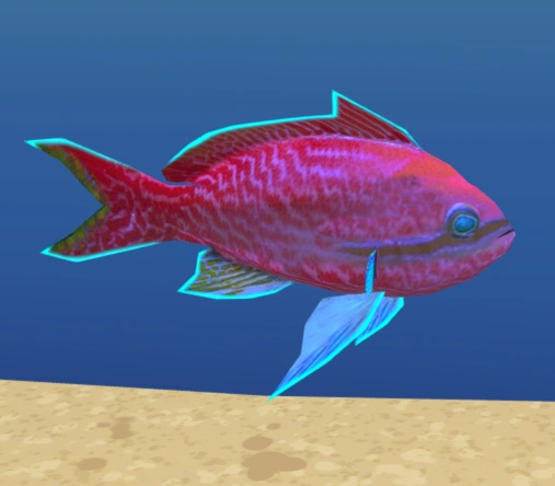 Two spot basslet | Megaquarium Modded Content Wiki | Fandom