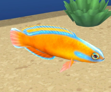 Arabian Bluelined Dottyback | Megaquarium Modded Content Wiki | Fandom