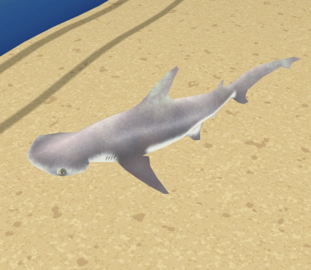 Bonnethead Shark | Megaquarium Modded Content Wiki | Fandom