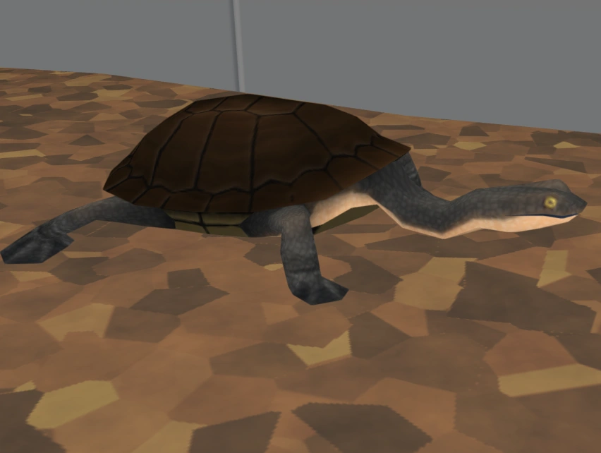 Broad-Shelled River Turtle | Megaquarium Modded Content Wiki | Fandom