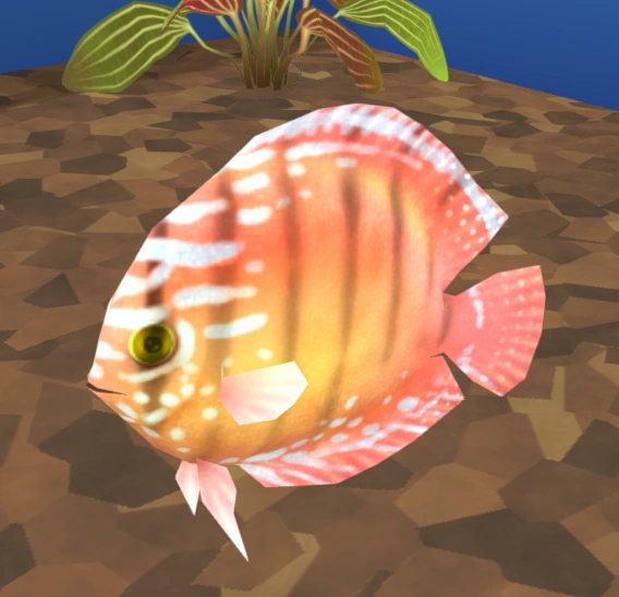 Discus | Megaquarium Modded Content Wiki | Fandom
