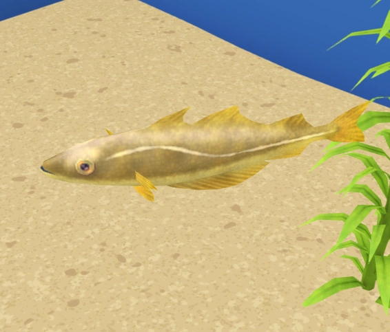 Atlantic Pollock | Megaquarium Modded Content Wiki | Fandom