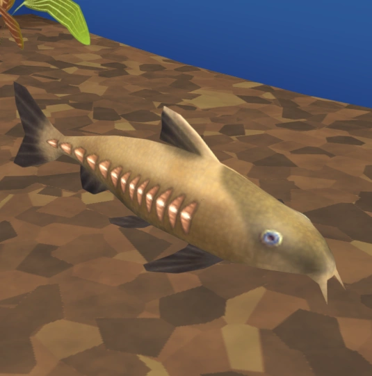 Ripsaw Catfish | Megaquarium Modded Content Wiki | Fandom