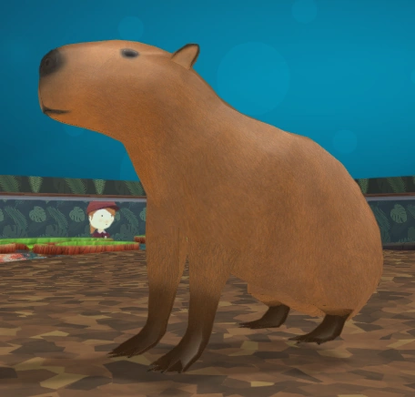 Capybara | Megaquarium Wiki | Fandom