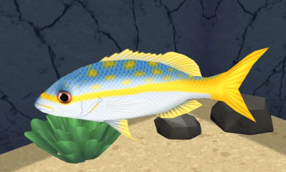 Yellowtail Snapper | Megaquarium Wiki | Fandom