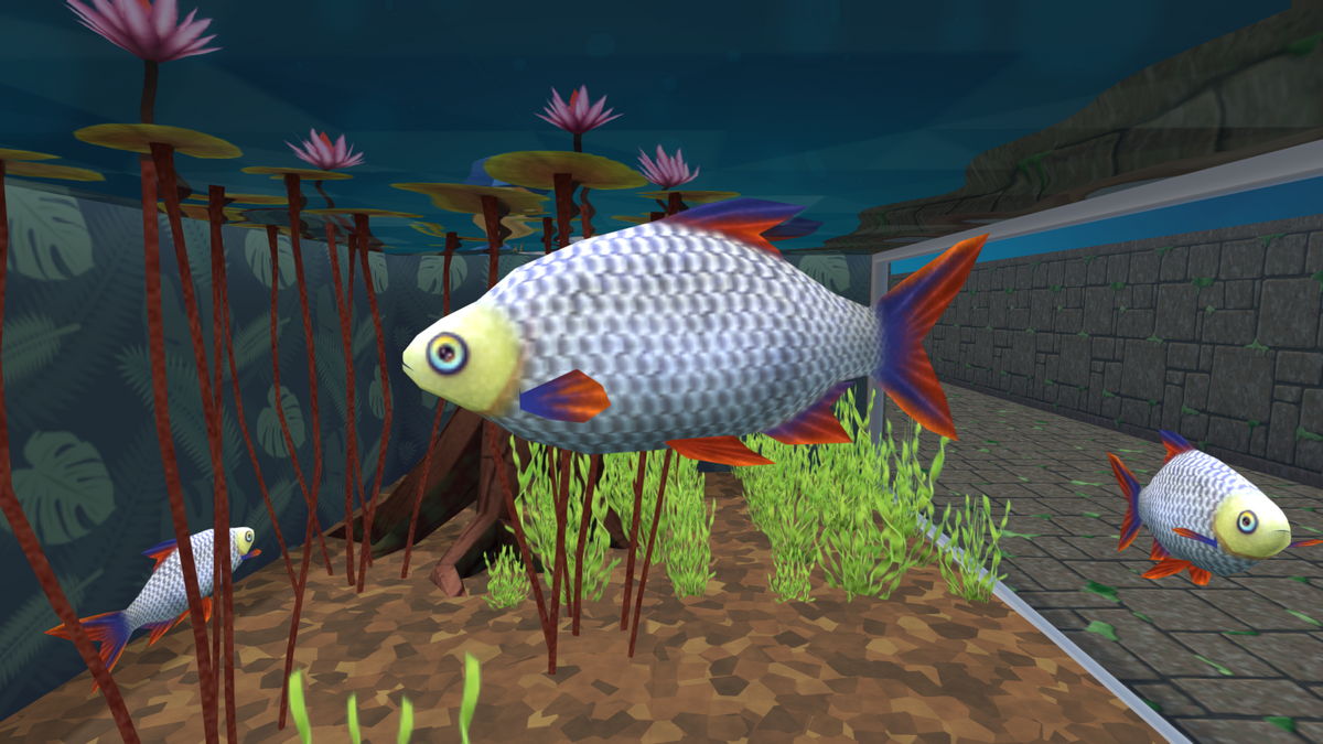 Tinfoil Barb Megaquarium Wiki Fandom
