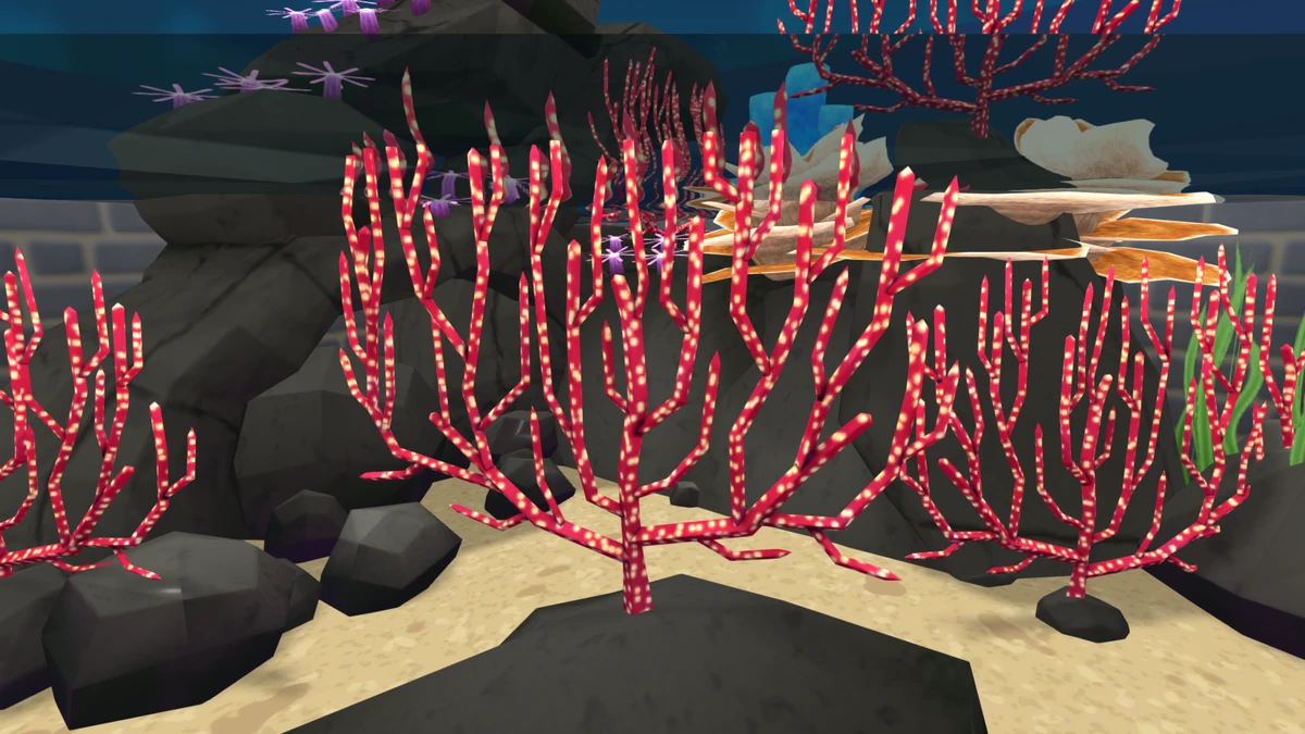 Emperor Gorgonian | Megaquarium Wiki | Fandom