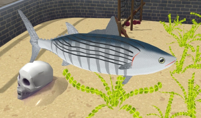 Atlantic Bonito | Megaquarium Wiki | Fandom