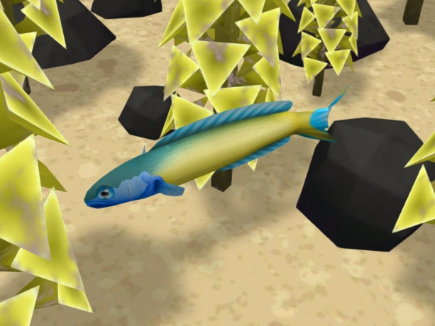 Blue Jaw Tilefish | Megaquarium Wiki | Fandom