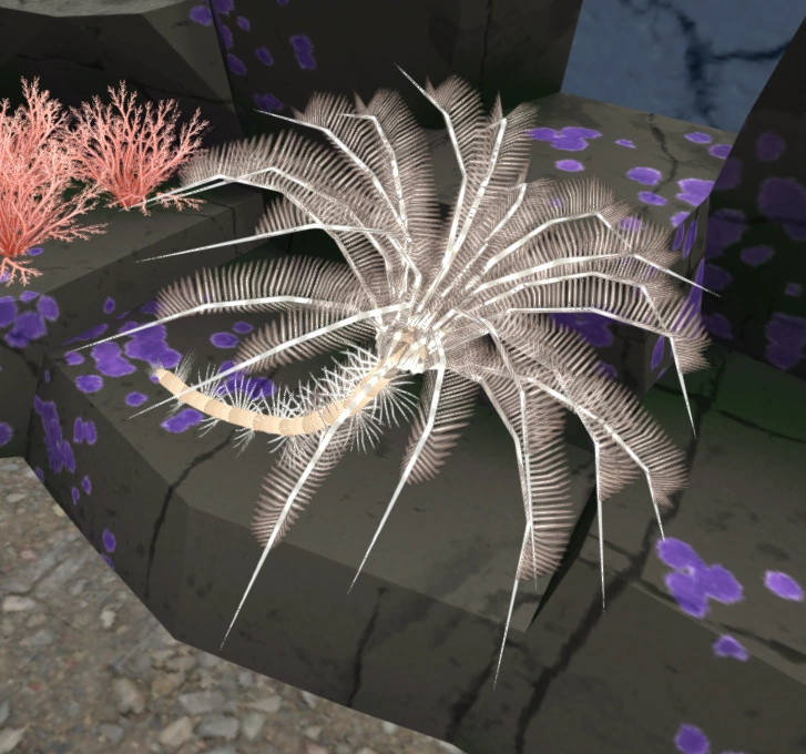 Japanese Sea Lily | Megaquarium Wiki | Fandom