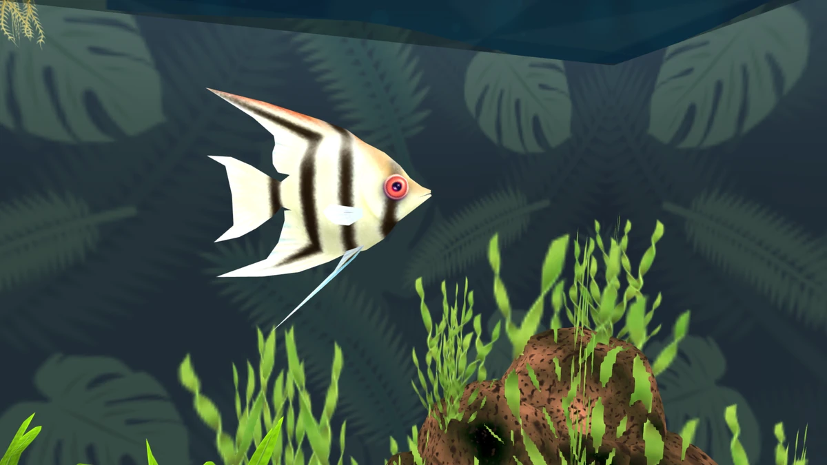 Amazonian Angelfish | Megaquarium Wiki | Fandom