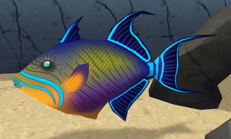 Queen Triggerfish | Megaquarium Wiki | Fandom