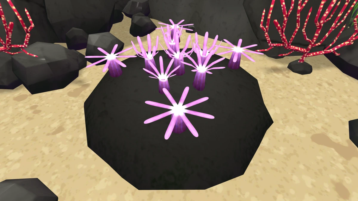 Daisy Star Polyps | Megaquarium Wiki | Fandom